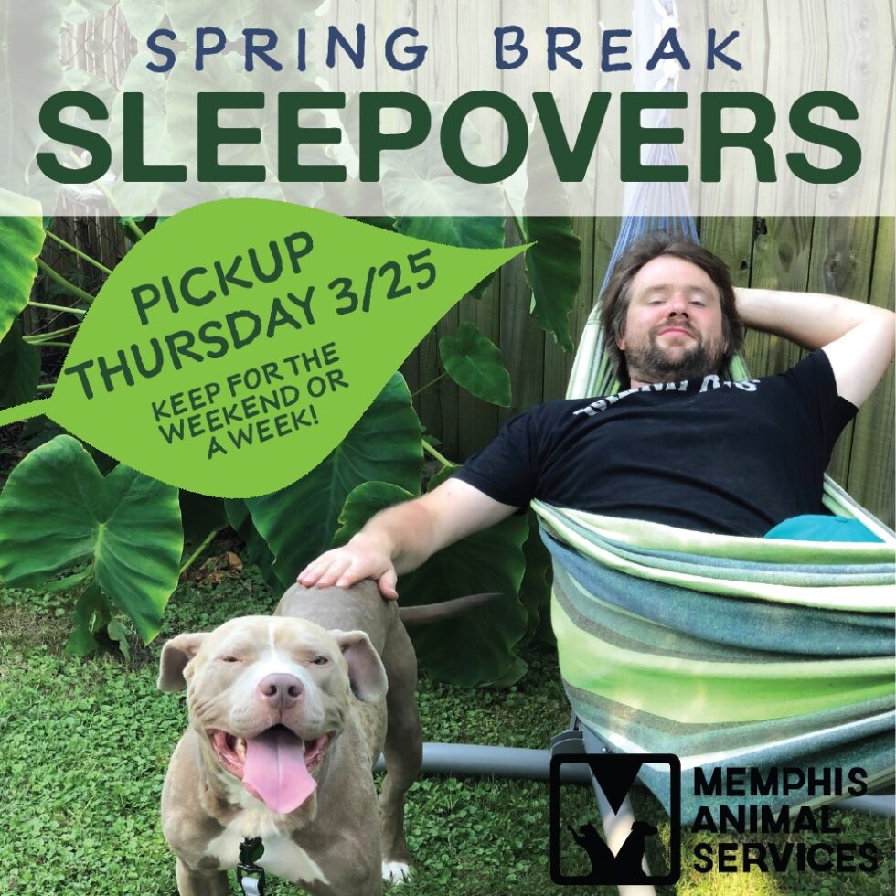 News & Events - Memphis Animal Services