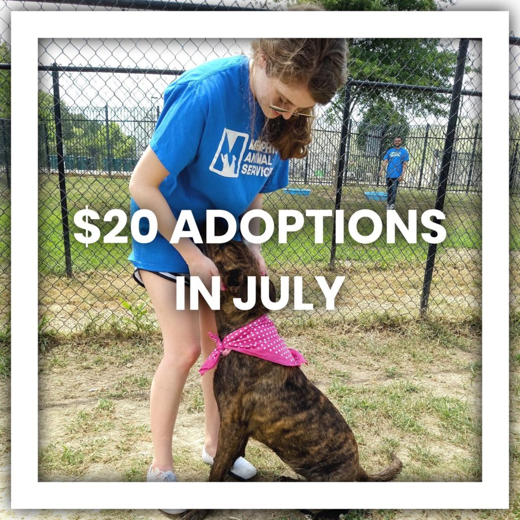 News & Events - Memphis Animal Services