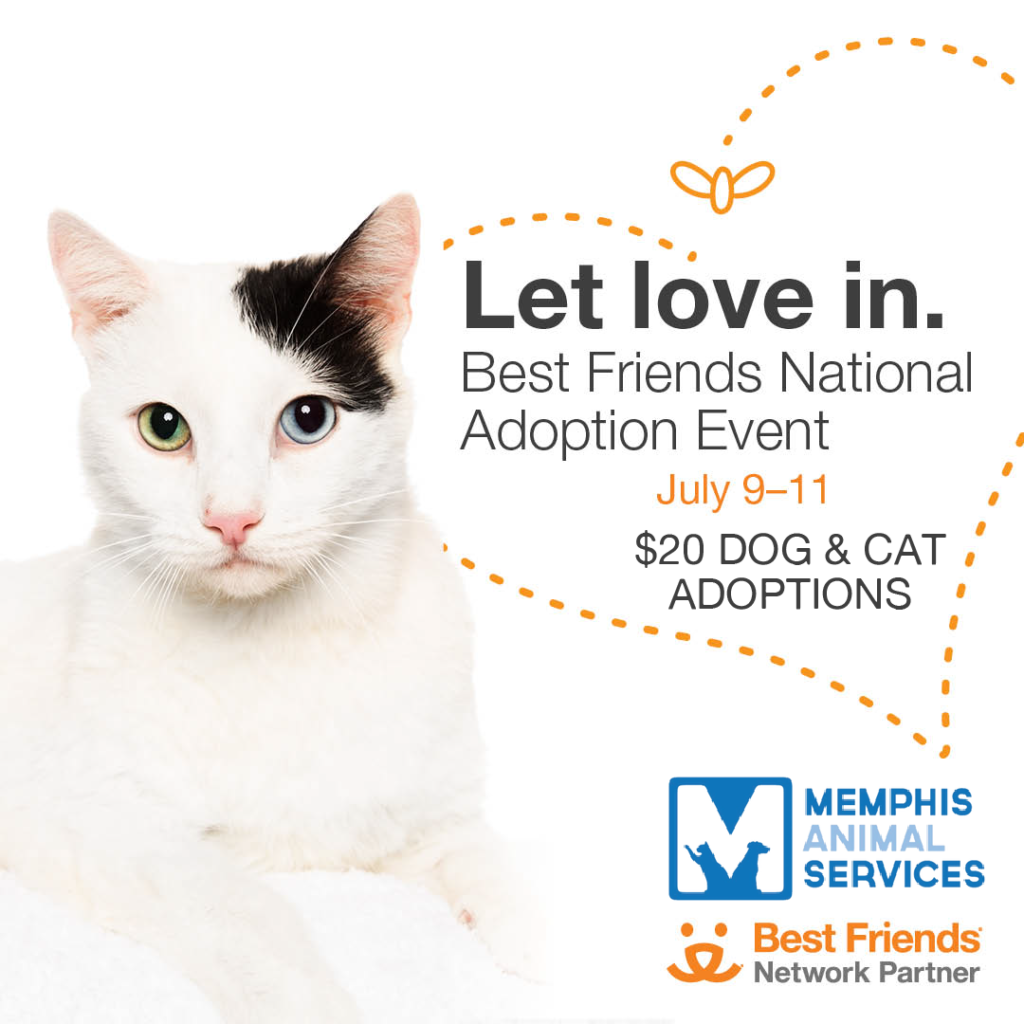 News & Events - Memphis Animal Services